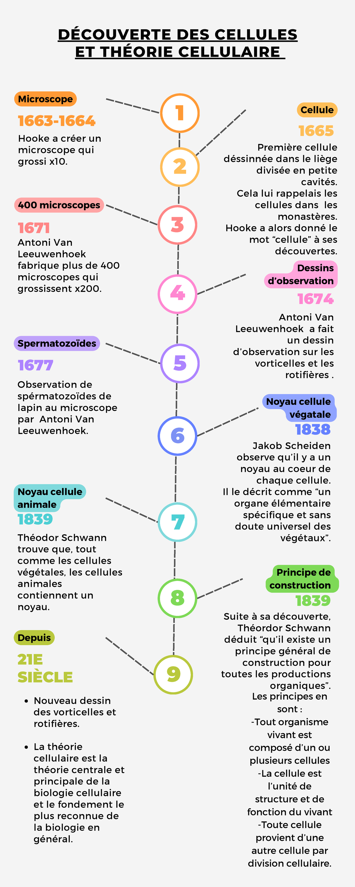 Frise chronologique - Hooke a créer un microscope qui grossi x10 ...
