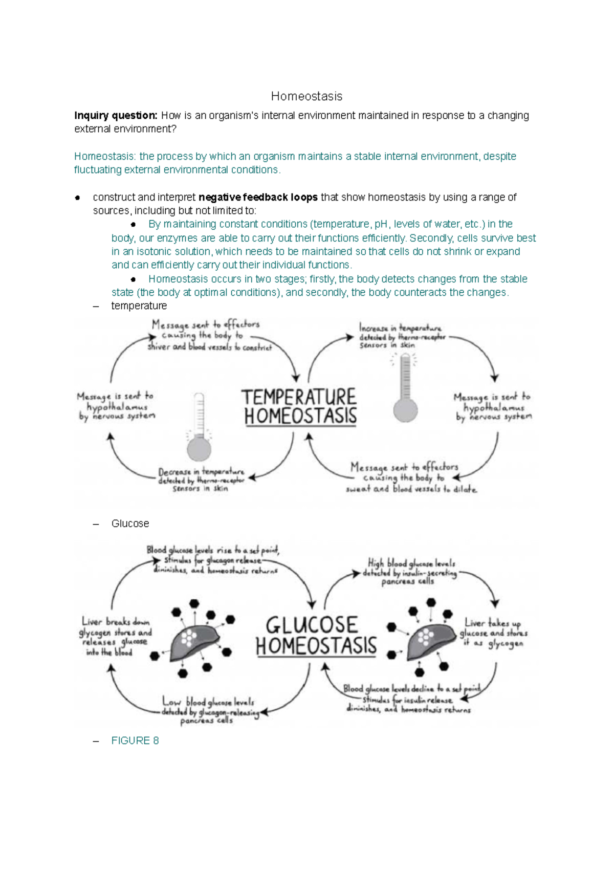 Homeostasis - Module 8: Non-infectious Disease and Disorders ...