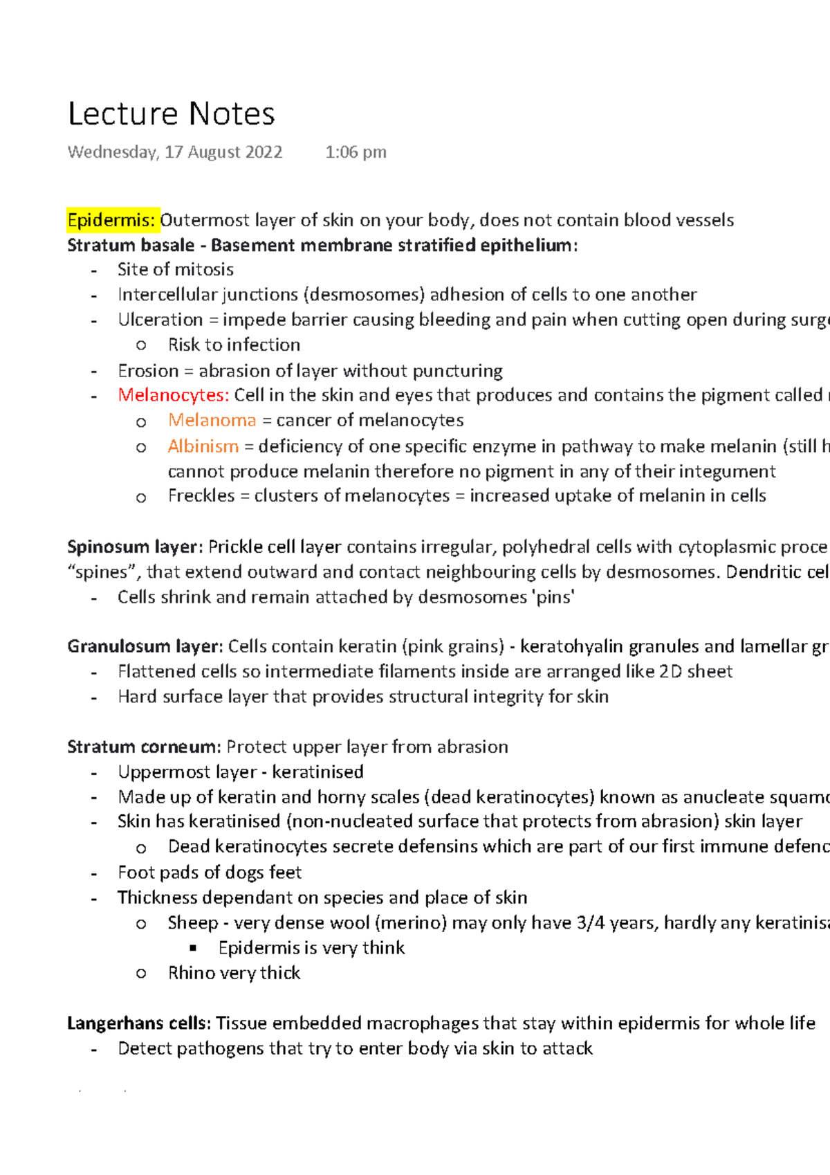 Lecture Notes - Epidermis: Outermost layer of skin on your body, does ...