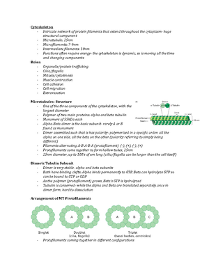 Cell bio week 5 - notes - Cytoskeletal overview Learning outcomes ...