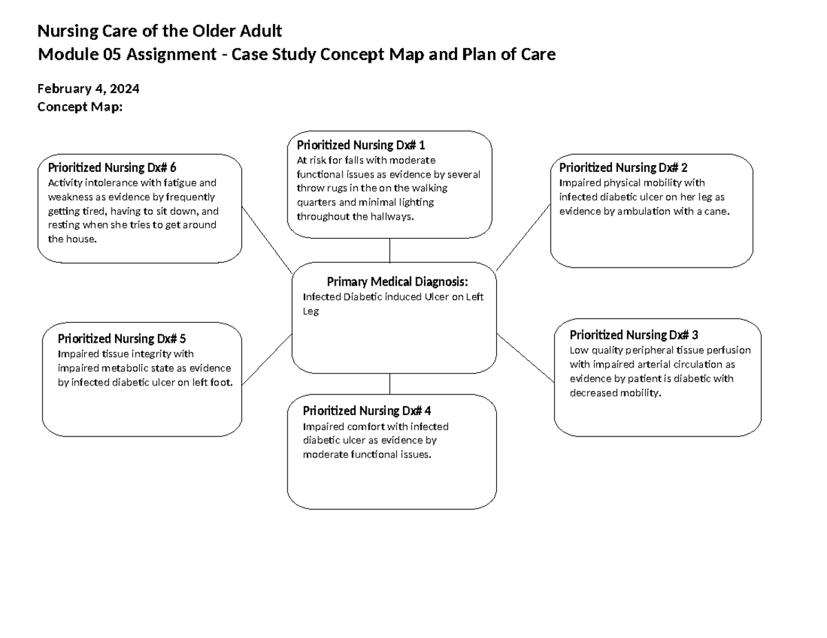 Concept Map&Plan of Care 02042024 - Nursing Care of the Older Adult Module 05 Assignment - Case ...