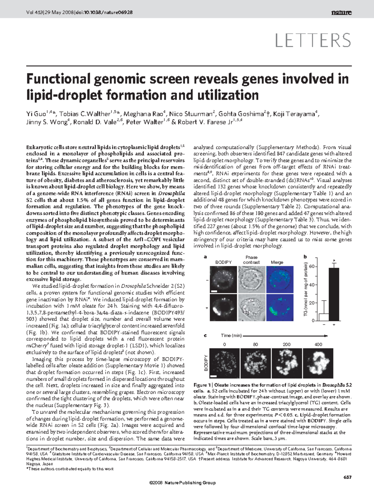 Guo 2008 - required reading - LETTERS Functional genomic screen reveals ...