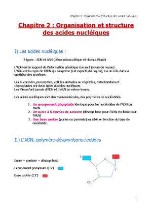 Fiche : c'est quoi une cellule - Fiche : Qu'est-ce qu'une cellule ...