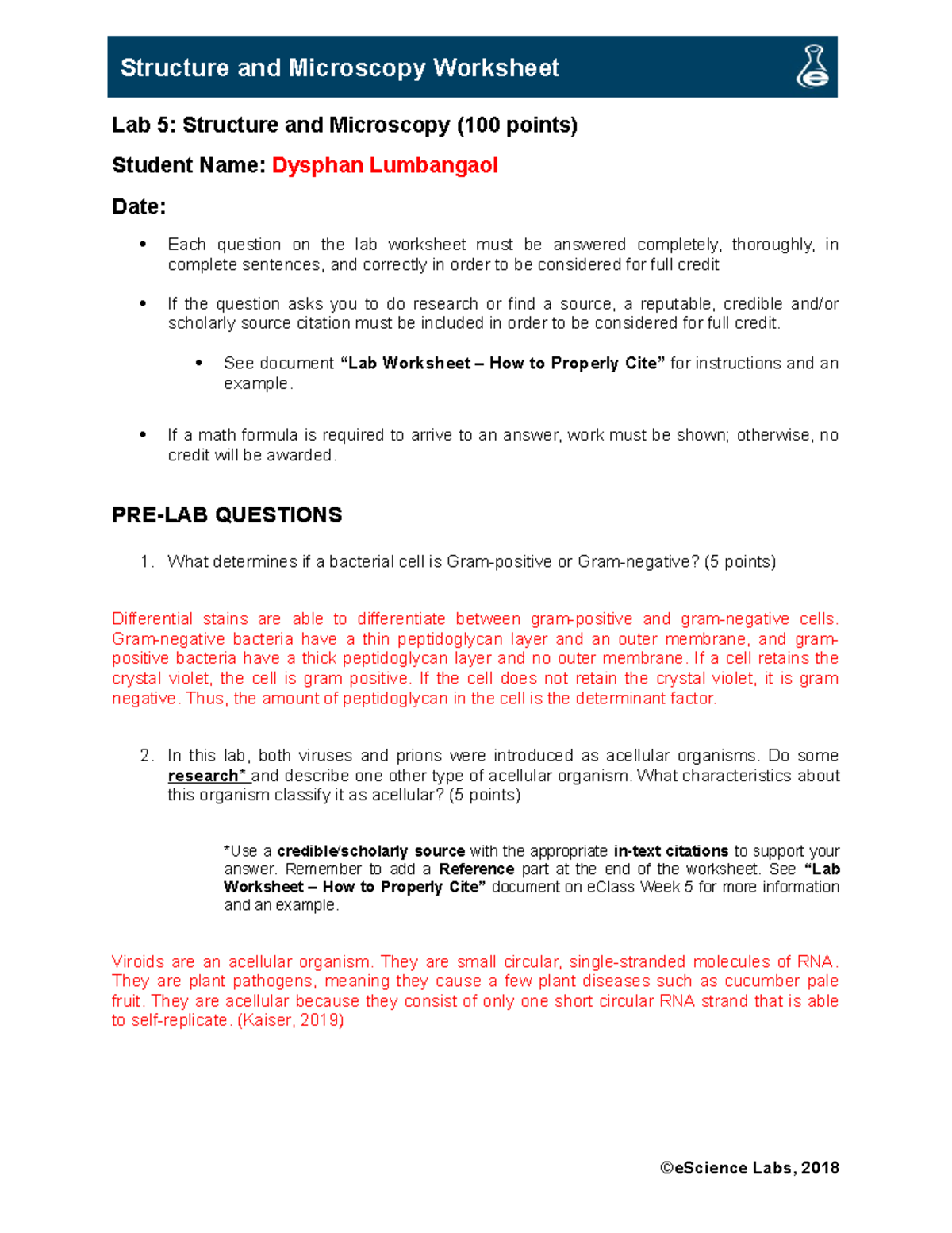 Lab 5 Structure And Microscopy Worksheet Lab 5 Structure And