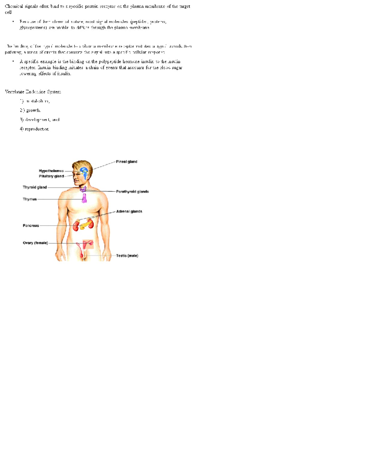 Chemical Signals 1 - Lecture Notes - BIO 234 - Studocu