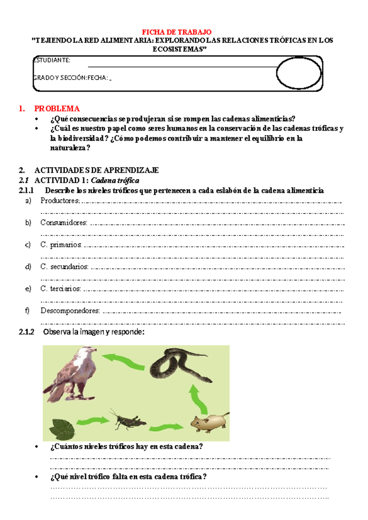 Cadena alimenticia 1ro - FICHA DE TRABAJO "TEJIENDO LA RED ALIMENTARIA ...