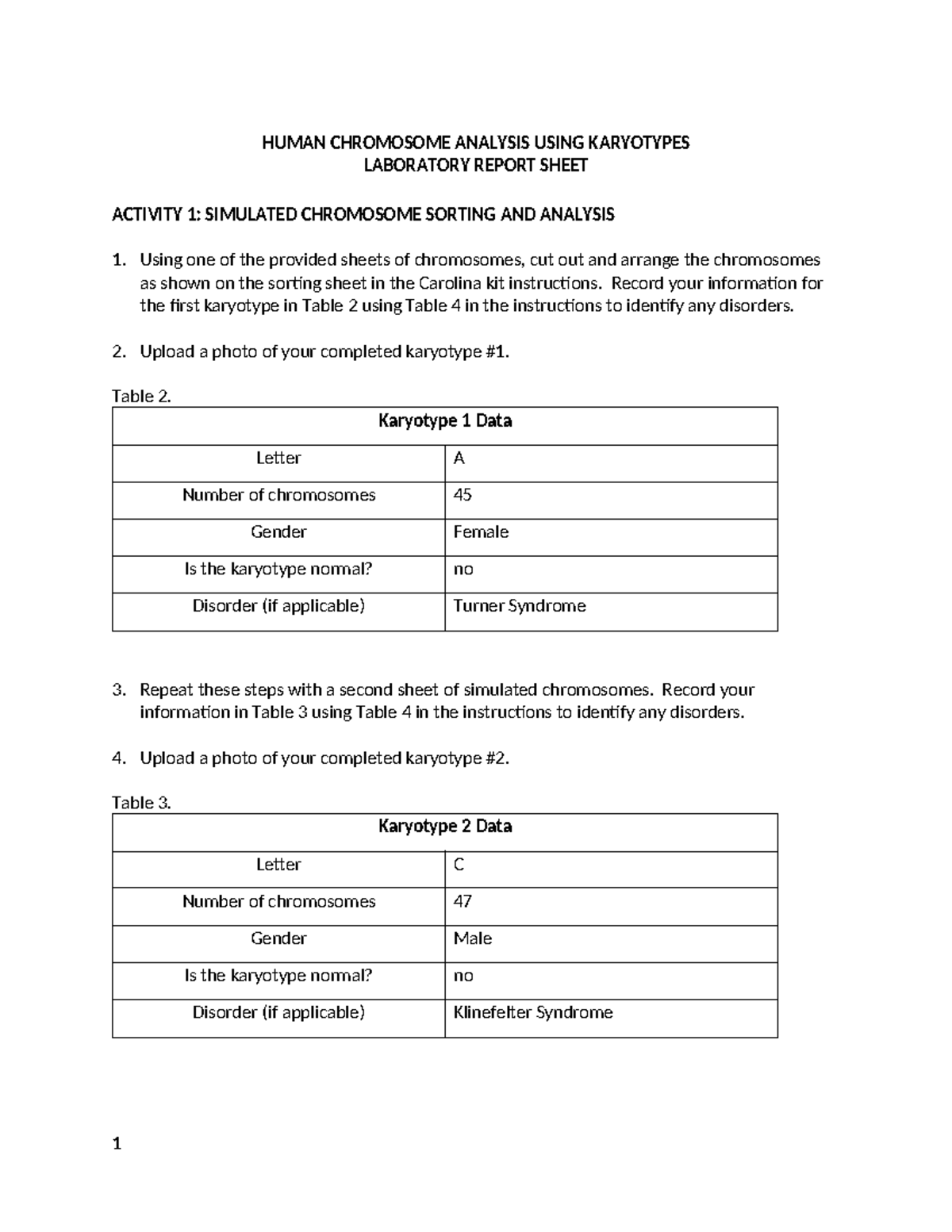 Human Chromosome Analysis Report Sheet complete - HUMAN CHROMOSOME ...