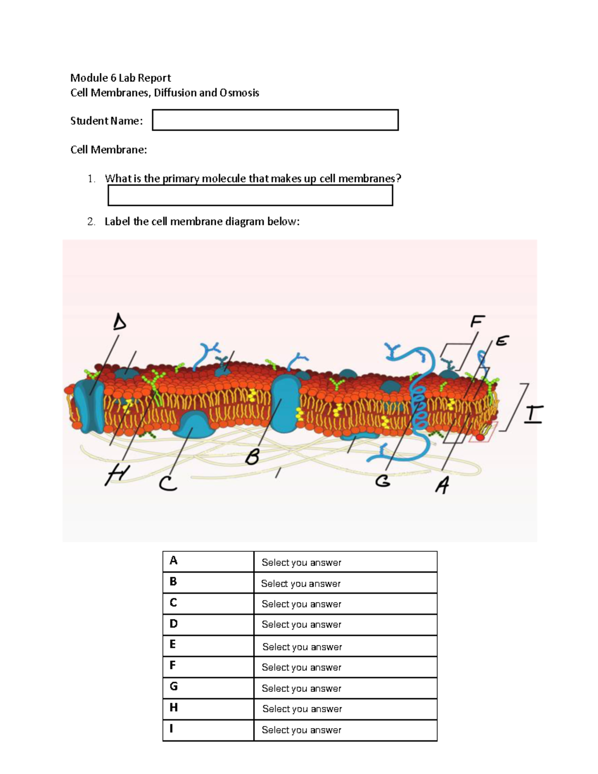Module 5 Lab Report - lkkkkkkkkkkkkkkk - Module 6 Lab Report Cell ...