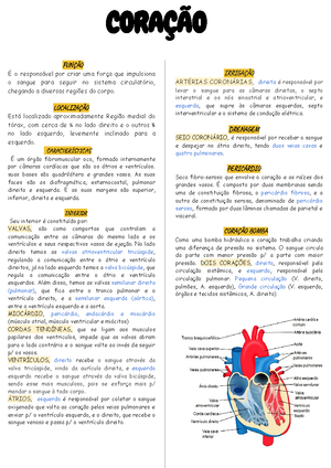 Somestesia - Anotaçoes de aula - Somestesia 07\06\ Somestesia: Ter a ...