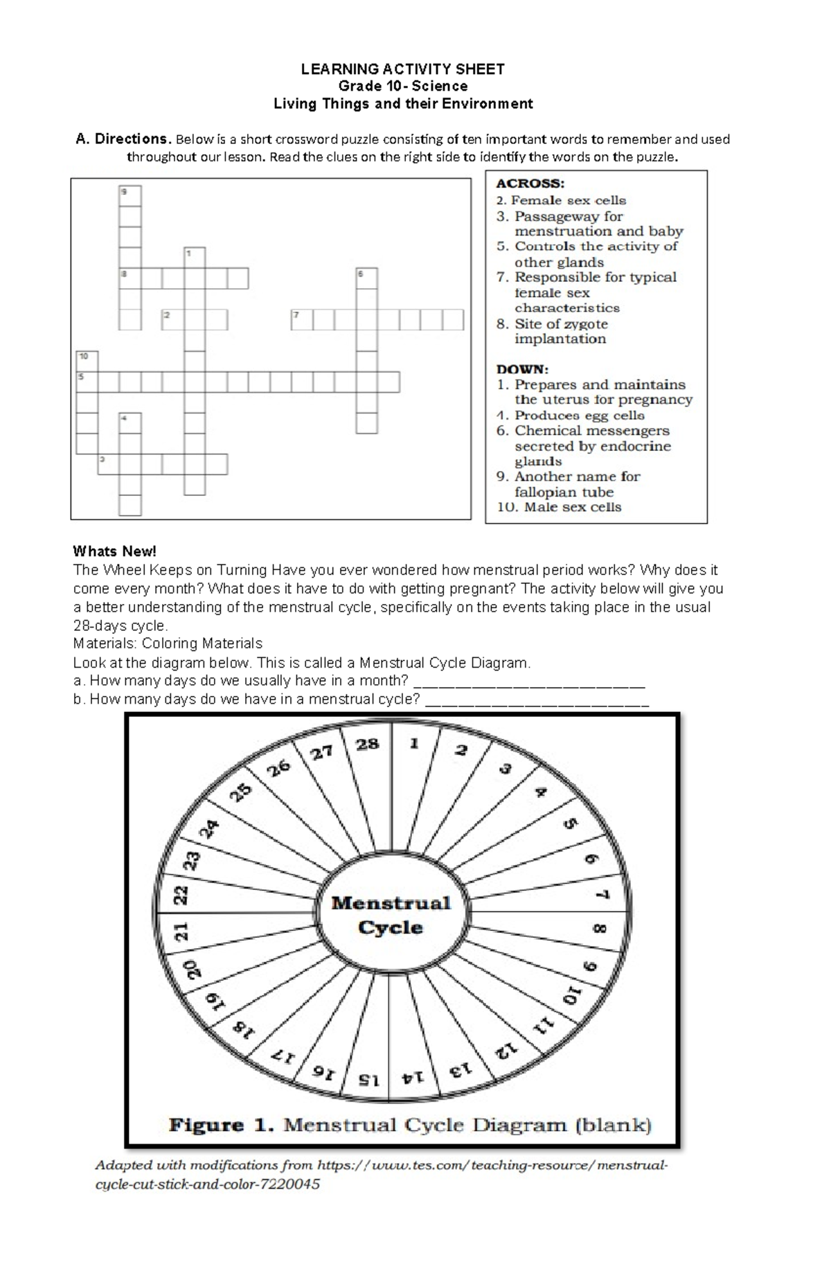 Learning- Activity- Sheet Grade 10 - LEARNING ACTIVITY SHEET Grade 10 ...