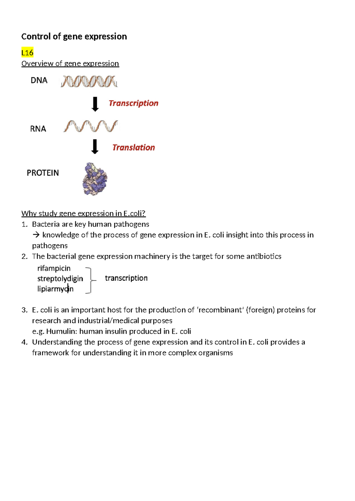 Control of gene expression - Control of gene expression L Overview of ...