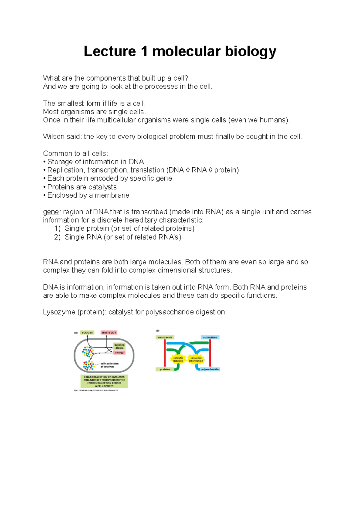 Alle lectures molecular biology - Lecture 1 molecular biology What are ...