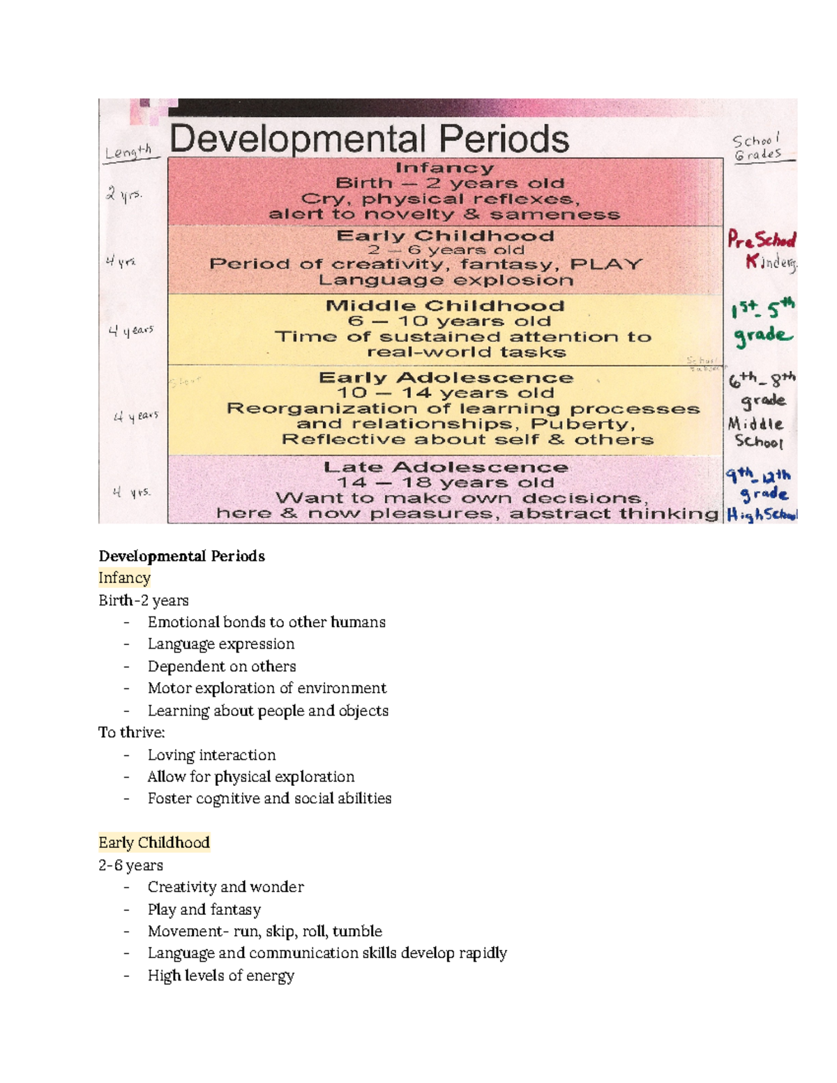 Development periods - Professor- Marcie Haggie Chart example used in ...
