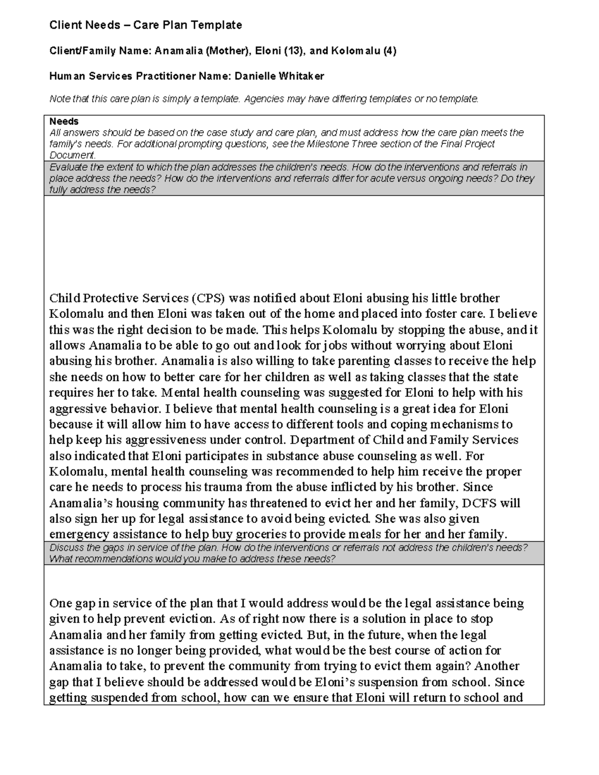 HSE 315 Client Needs Care Plan Template - Client Needs – Care Plan ...