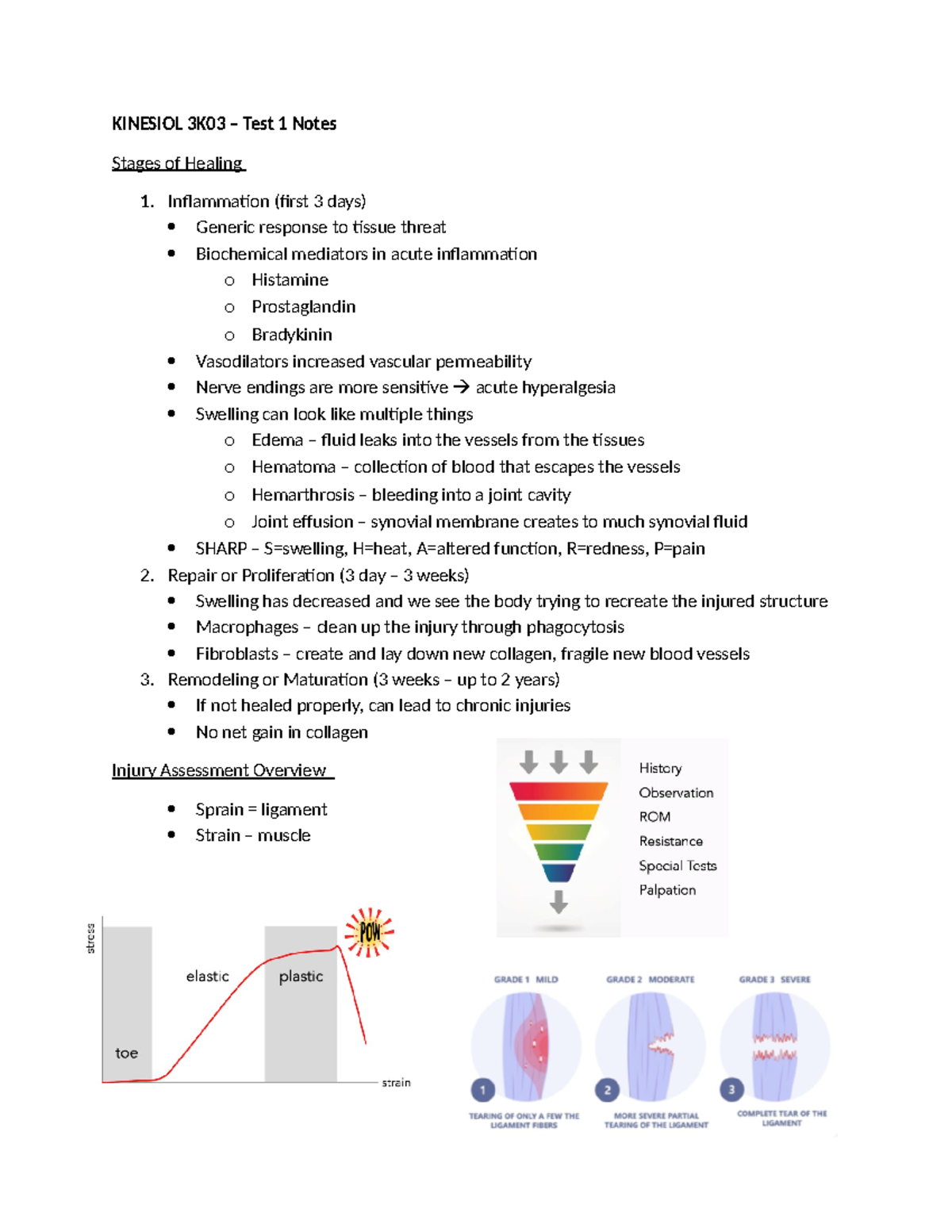Test 1 - Brief Notes - KINESIOL 3K03 – Test 1 Notes Stages of Healing 1 ...