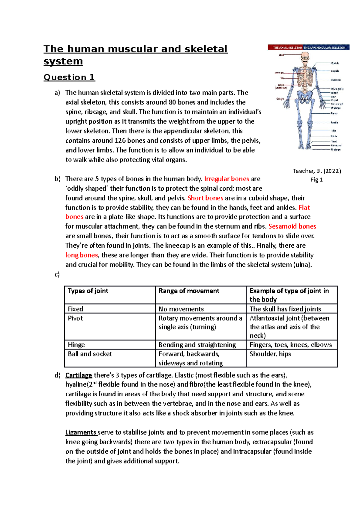 Unit 13 - Recieved distinction - The human muscular and skeletal system ...