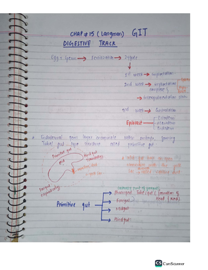 Ninja Nerd 🥷 Embryology Notes Complete - Development of the GIT Part 1 ...