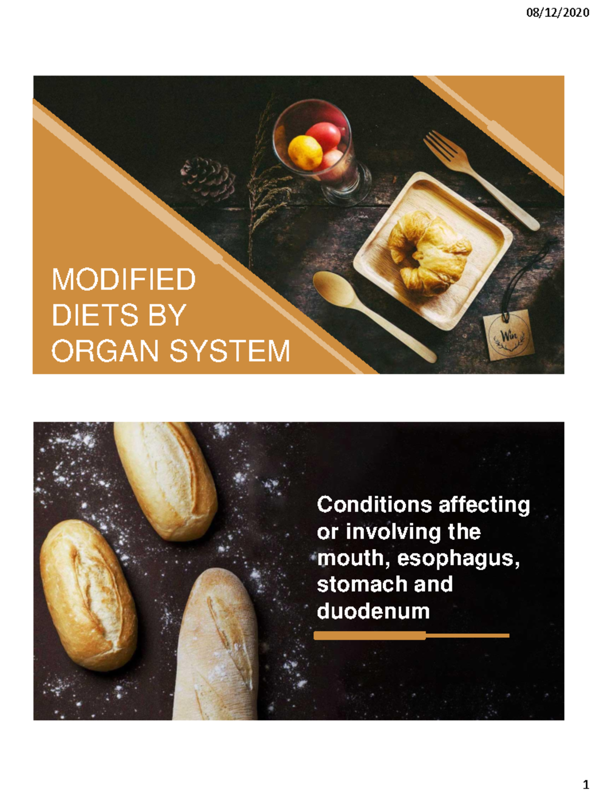 Modified Diets by Organ System - MODIFIED DIETS BY ORGAN SYSTEM ...
