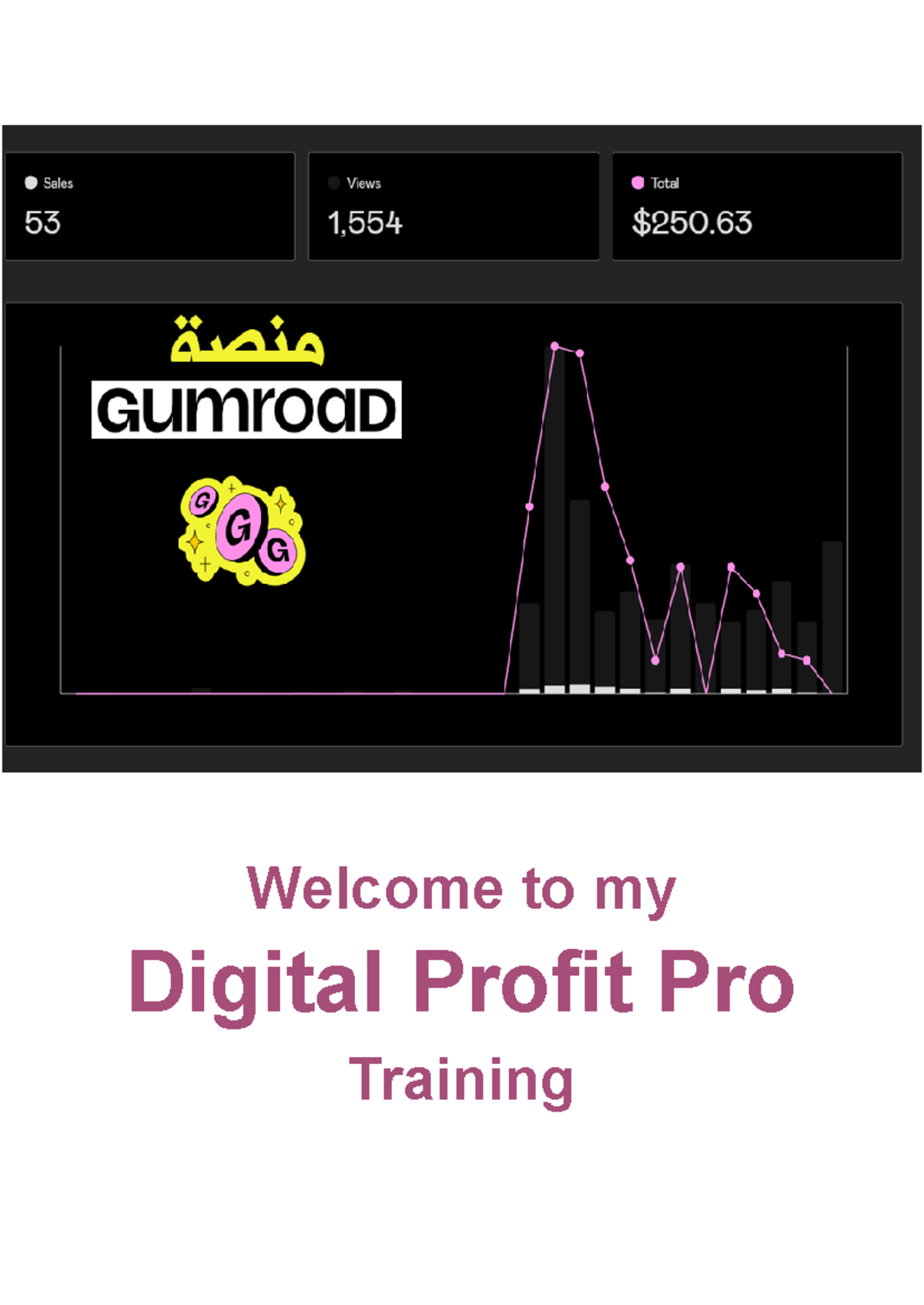 Digital Profits Pro - Summary Resumen temario Universidad - Welcome to my Digital Profit Pro ...