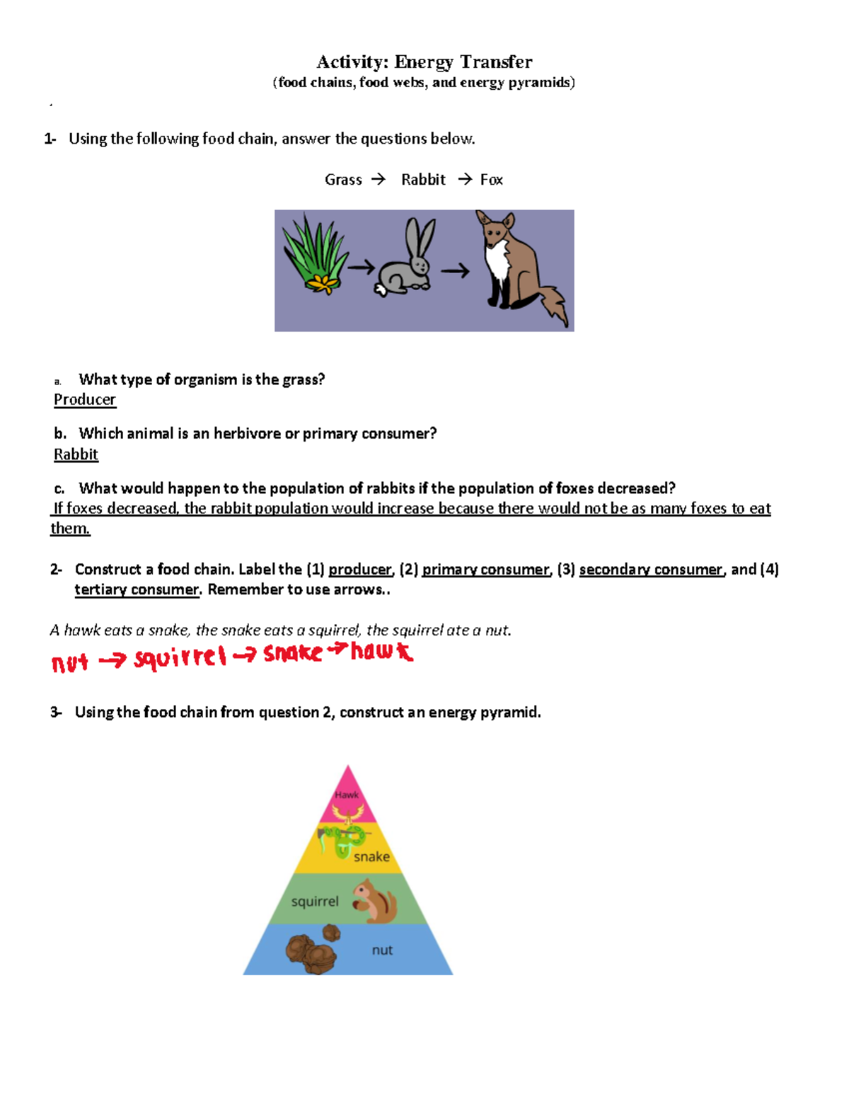 Activity Energy Transfer - Activity: Energy Transfer (food chains, food ...