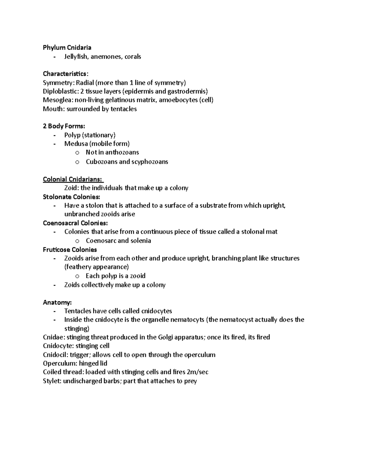 Phylum Cnidaria - Complete summary of the chapter content, lecture ...
