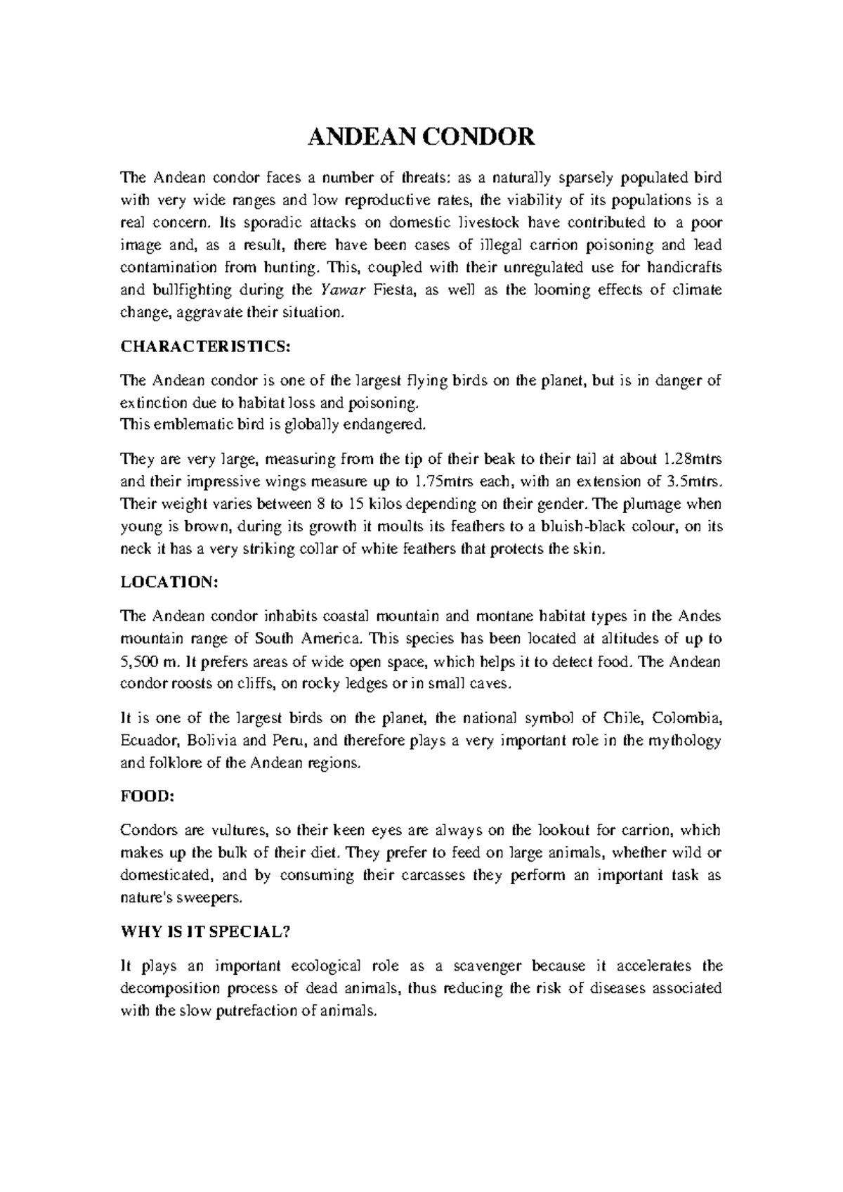 Cóndor Andino - Ingles queda - ANDEAN CONDOR The Andean condor faces a ...