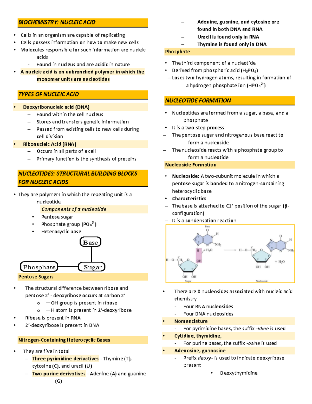 Nucleic-Acid - paper - BIOCHEMISTRY: NUCLEIC ACID Cells in an organism ...