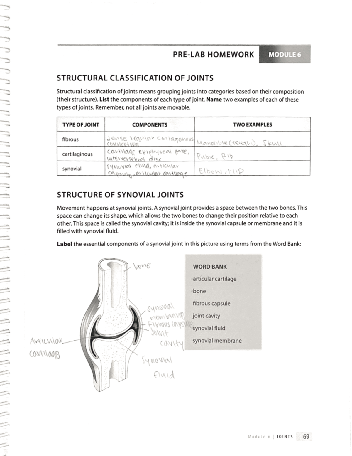 Anatomy 6 - pre lab - BIOL 1110K - GSU - Studocu
