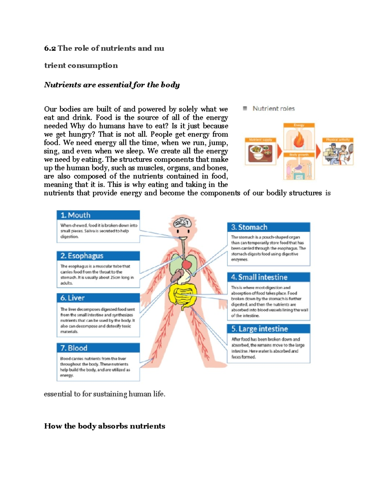 Roles of Nutrition in our body - 6 The role of nutrients and nu trient ...