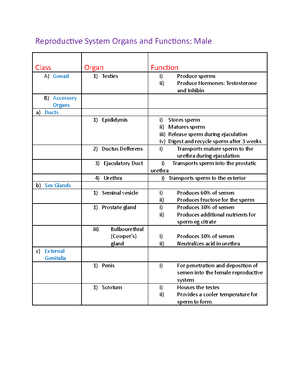 Reproductive System Organs and Functions ABC - The Male Reproductive ...