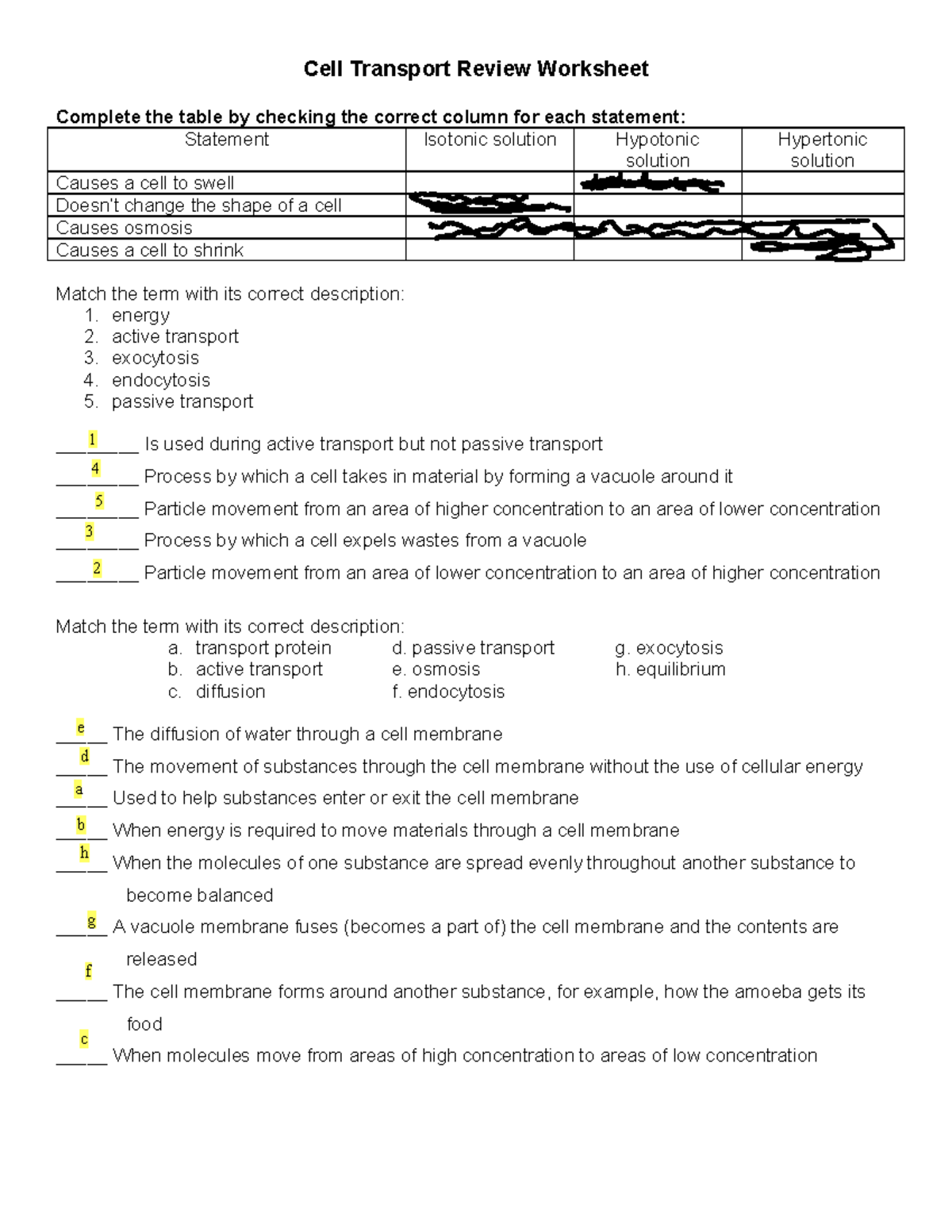 Biology 1 Cell Transport Overview Notes Cell Transport Review 