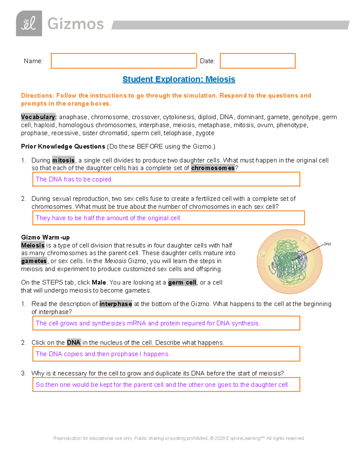 Copy of Gizmo Meiosis - asgmt. - Name: Date: Student Exploration ...