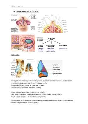 ENT anatomy and physiology - Physiology of hearing Sounds waves are a ...