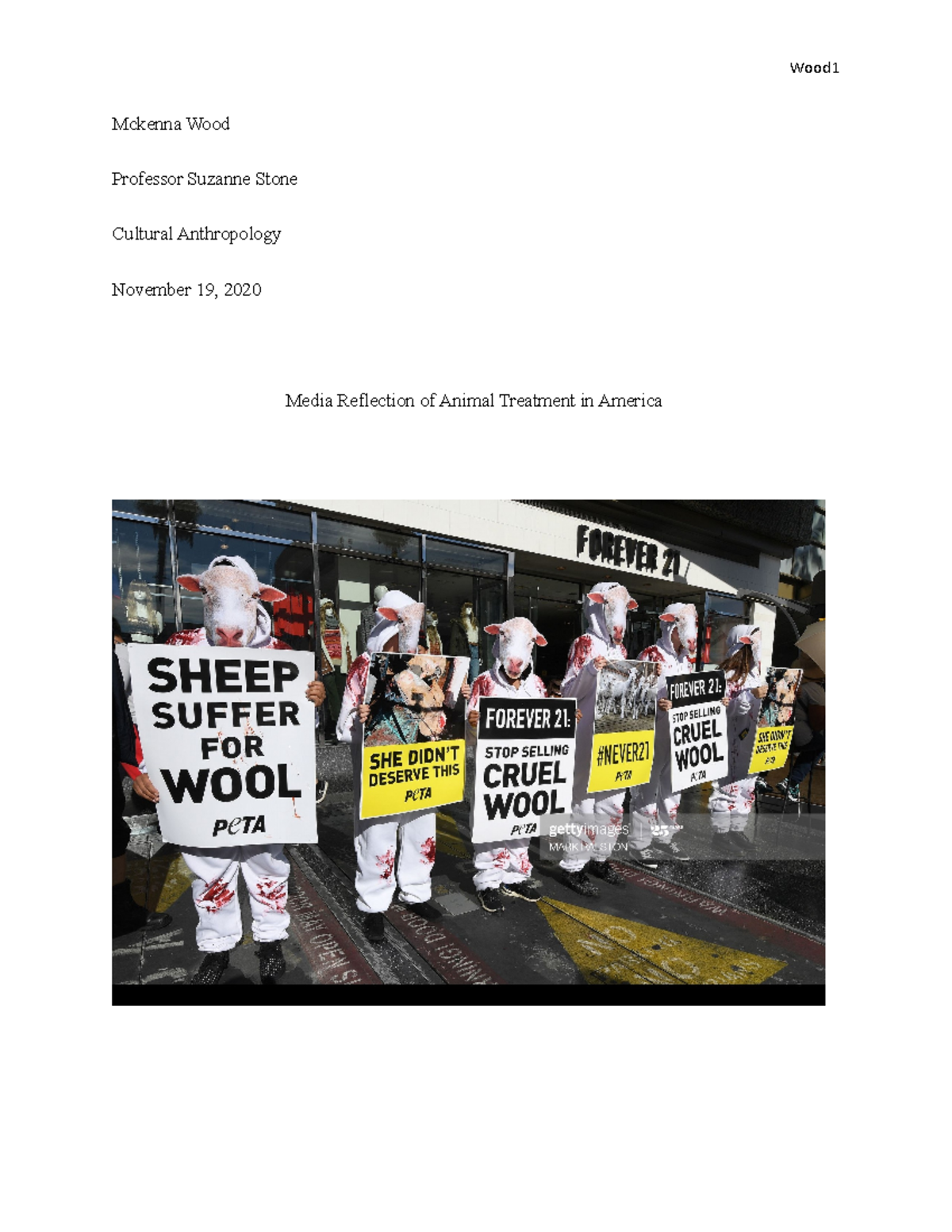 Ant Media Reflection - fhgjhahd - Mckenna Wood Professor Suzanne Stone ...