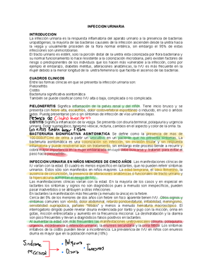 Enfermedades Glomerulares - ï En un día el riñón filtra 1700 litros de ...