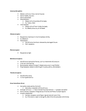 Skeletal System Study Guide - Skeletal System Study Guide Name ...