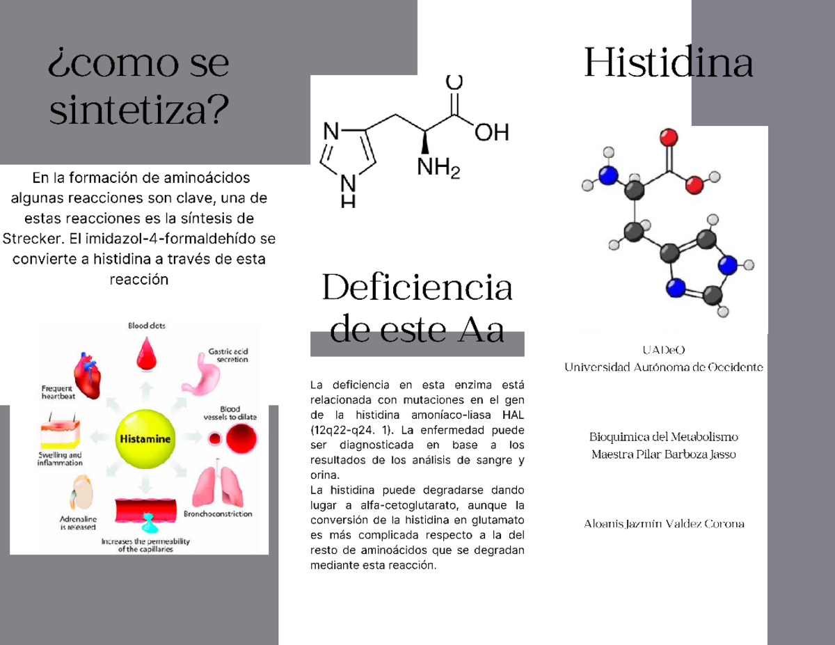 Histidina - Buena información - Biología Molecular - Studocu