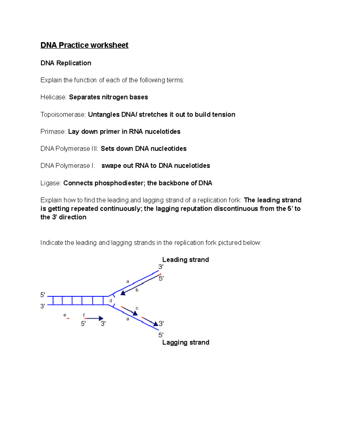 DNA Practice worksheet - Deprecated API usage: The SVG back-end is no ...