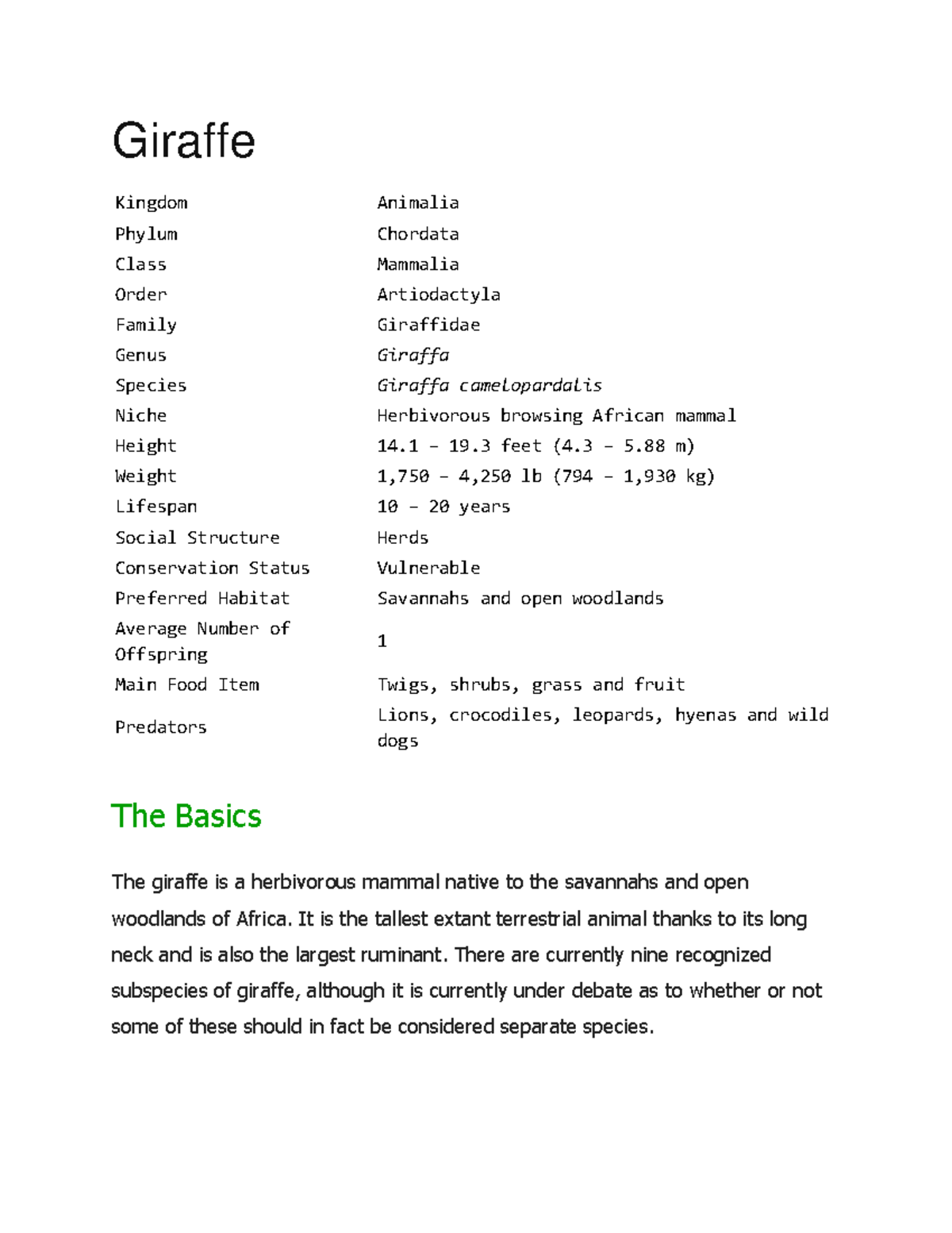 Giraffe - Giraffe Kingdom Animalia Phylum Chordata Class Mammalia Order ...