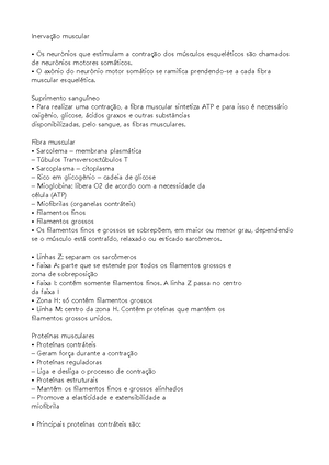 Sistema Linfático Anatomia pt2 - Sistema Linfático - Anatomia DUCTO ...