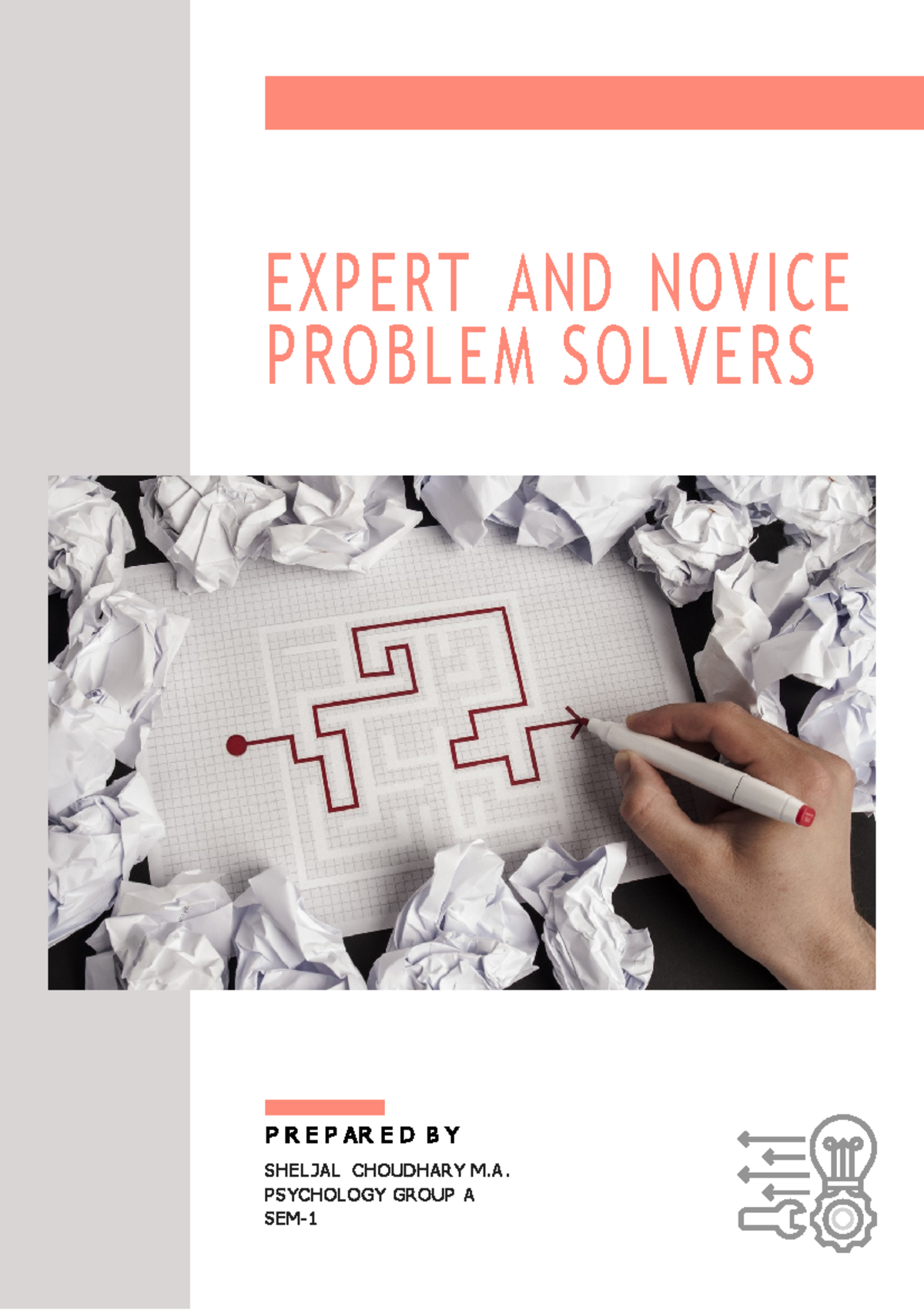 Expert and Novice Problem Solvers - E X PE R T AND N O V I C E PROBLEM ...