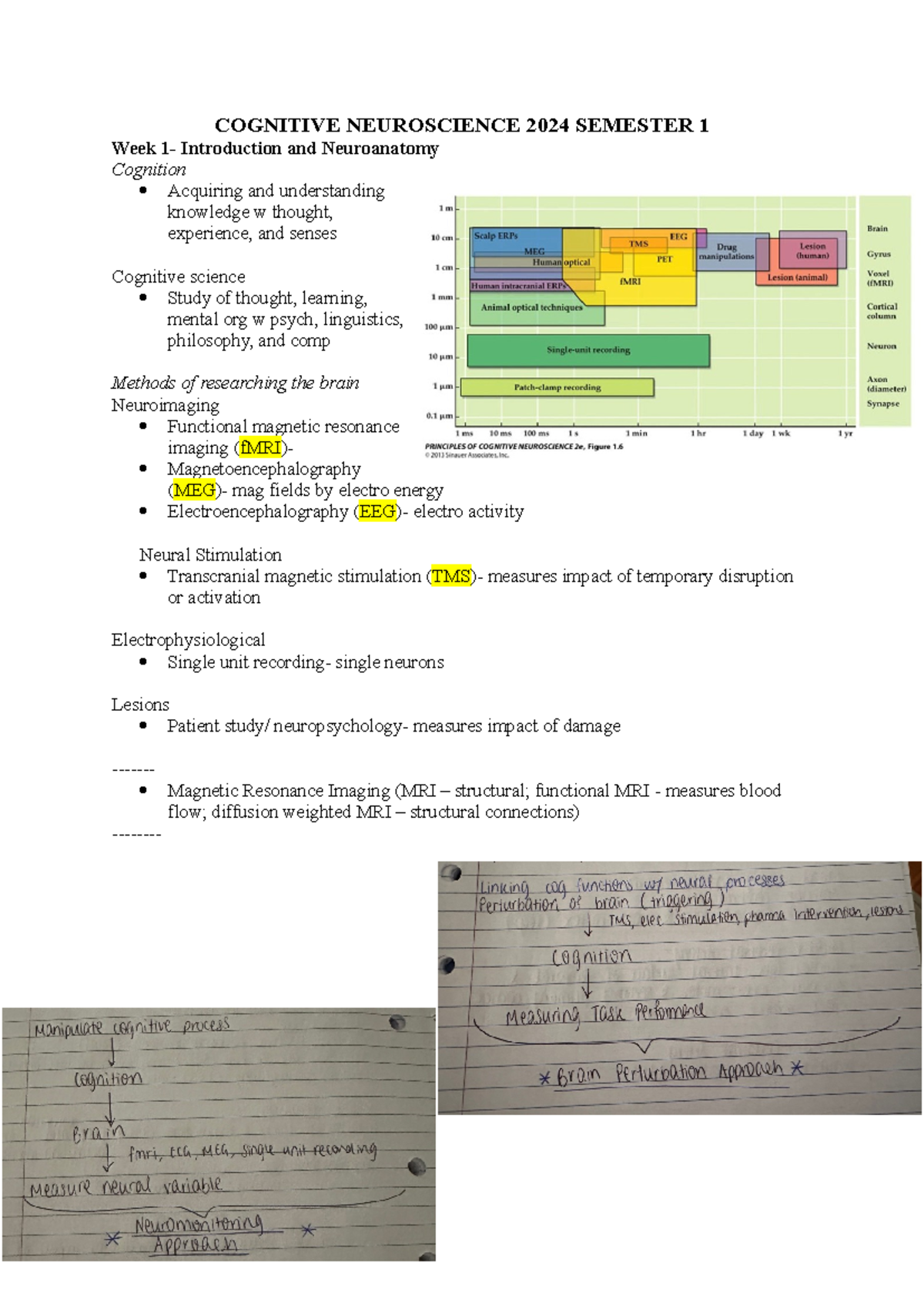 Cognitive Neuroscience 2024 Semester 1 - COGNITIVE NEUROSCIENCE 2024 SEMESTER 1 Week 1 ...