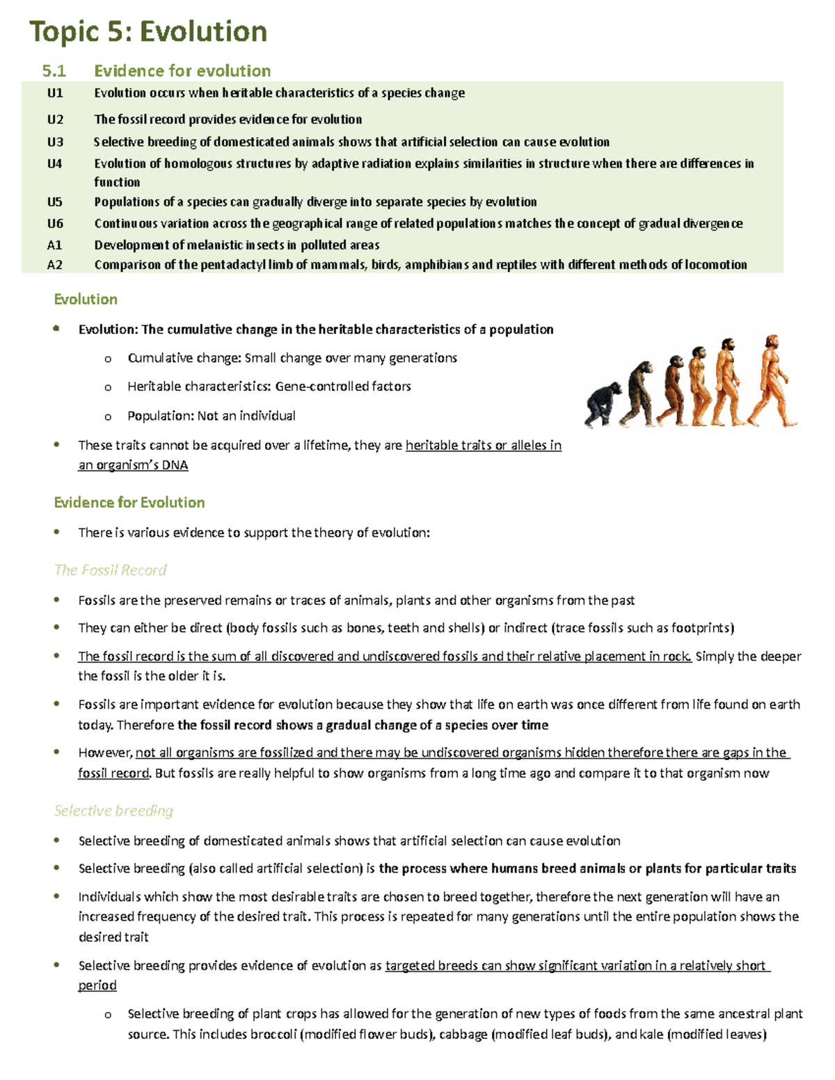 5 - Summary Evolutionary Biology - Topic 5: Evolution 5 Evidence for ...
