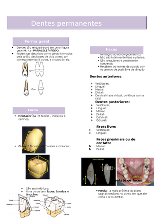 Atlas de anatomia de dentes permanentes glauco fionarelli ...