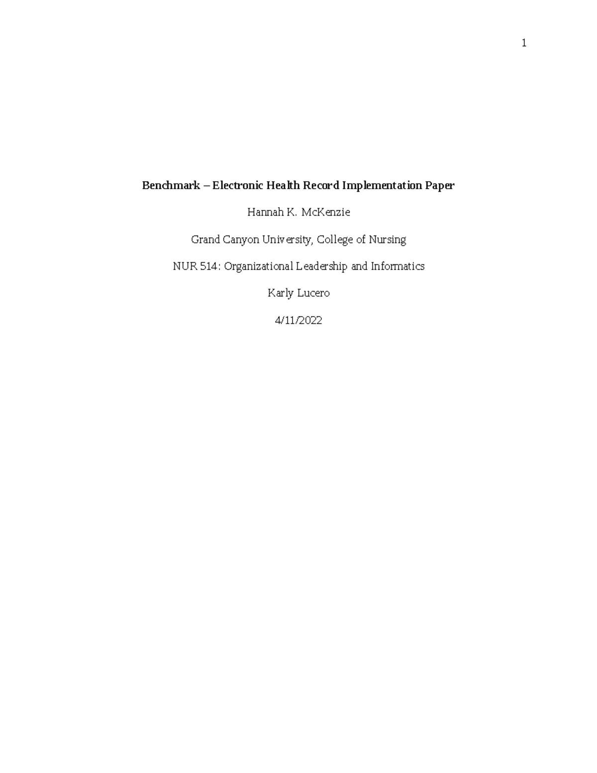 Benchmark Electronic Health Record Implementation Paper - McKenzie ...