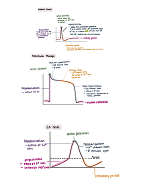 Heart - organizing printciples of cardiac physiology The heart is a ...