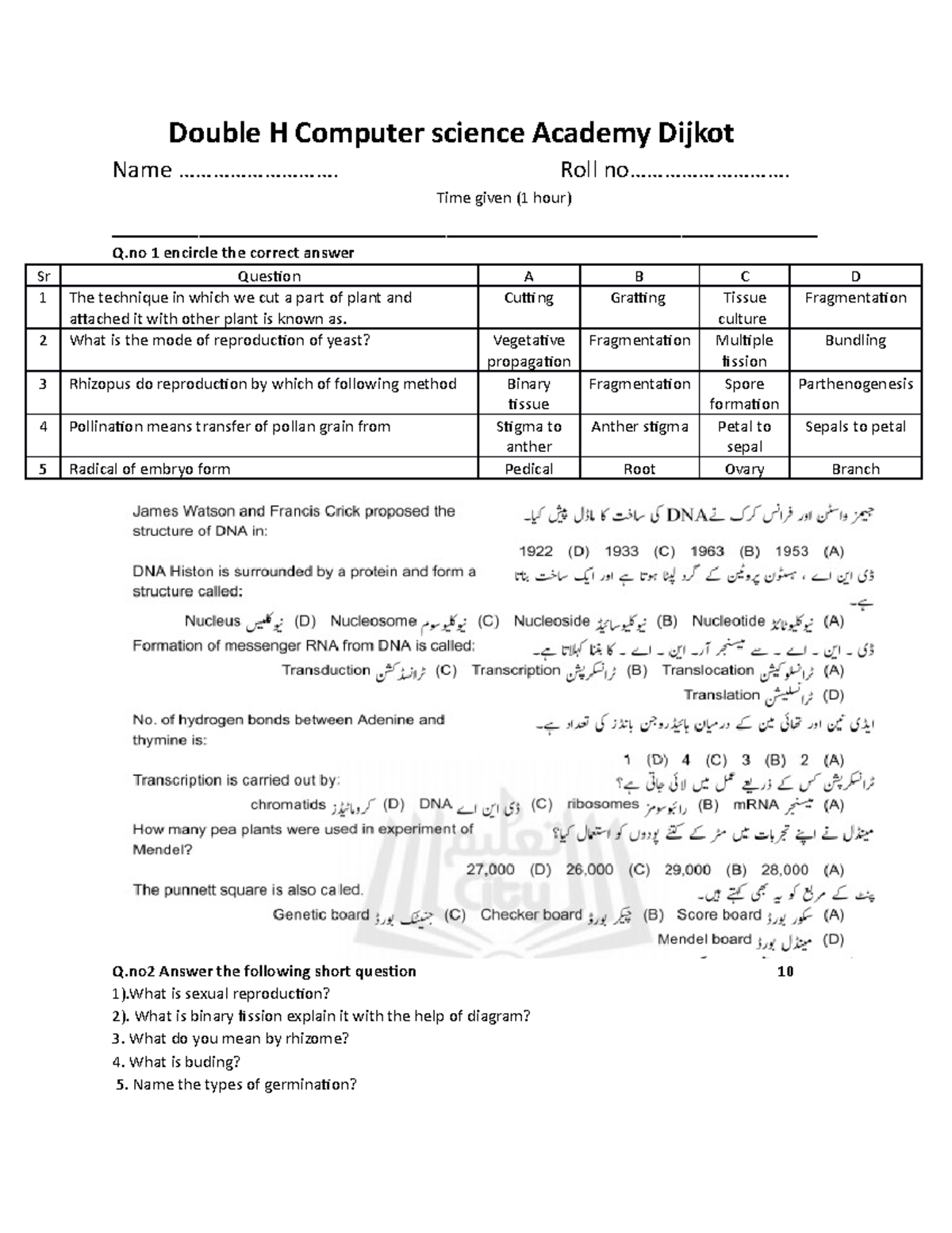 1st year computer test - Double H Computer science Academy Dijkot Name