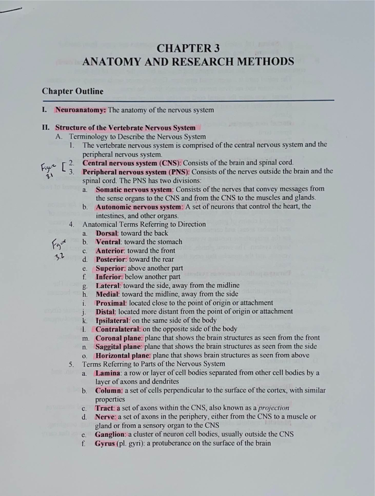 Psy 256 Ch. 3 - Chapter 3 outline discusses anatomy and research ...