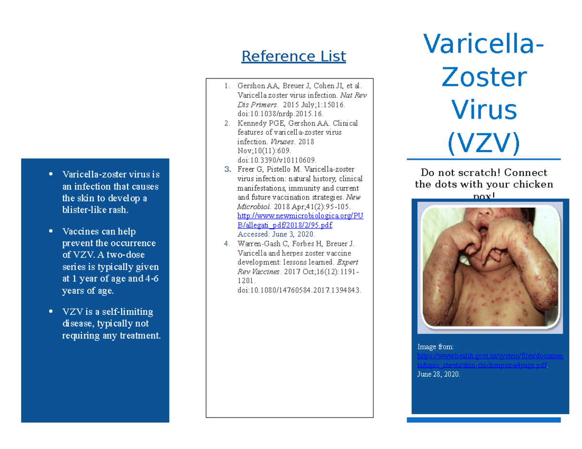 Brochure 2 varicella/ zoster infection - Varicella-zoster virus is an ...