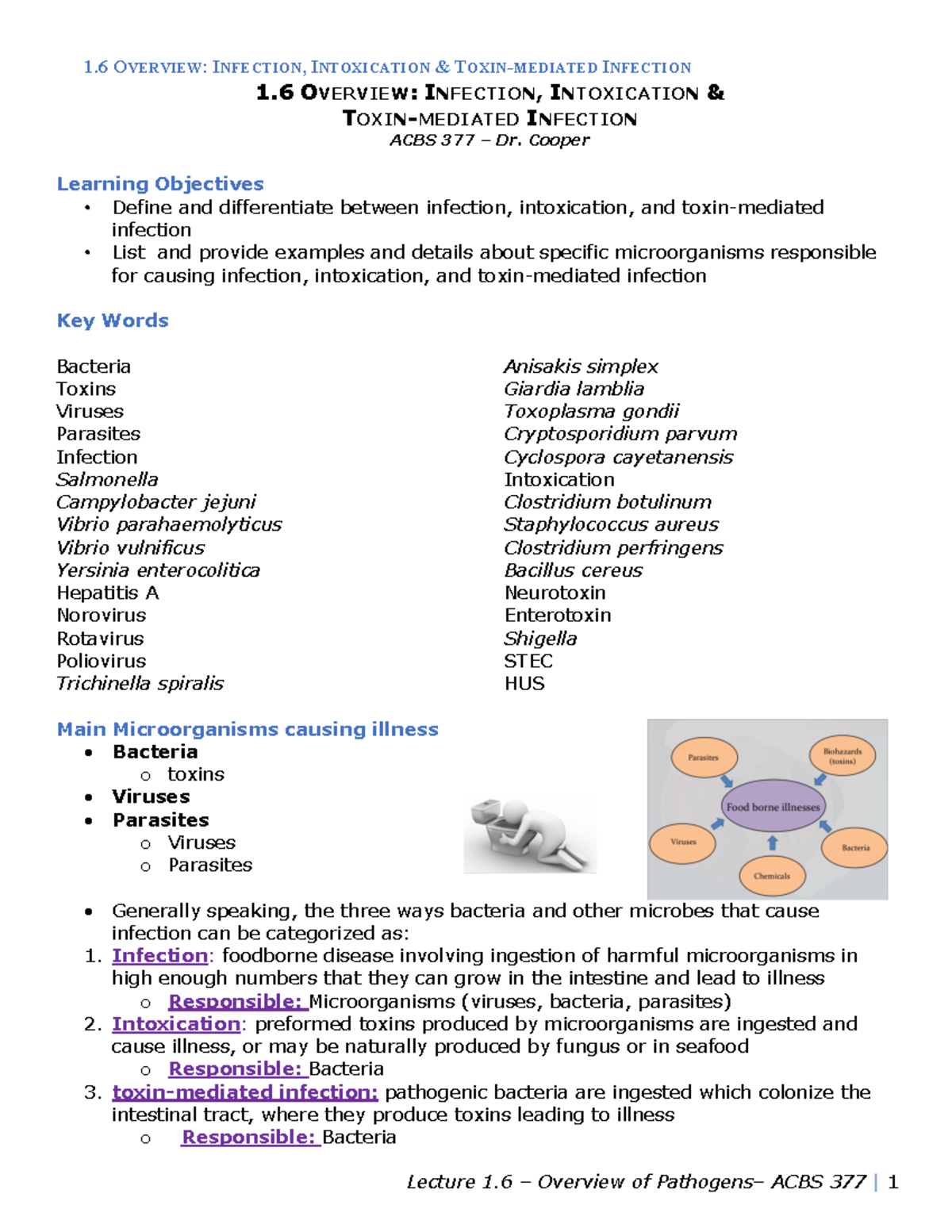 1.6 Overview Infection Intoxication Toxin-mediated Infection - 1 ...